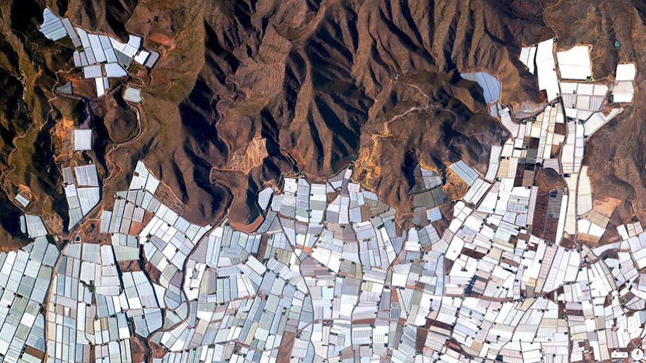 Plasticulture Greenhouses – Almeria, Spain