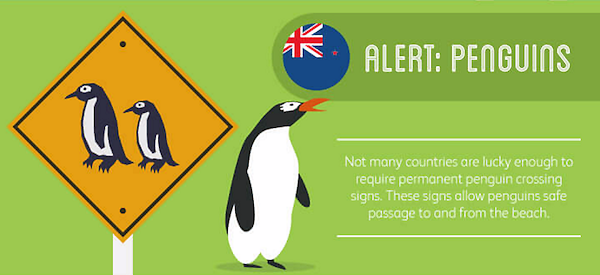 Unusual road signs from around the world